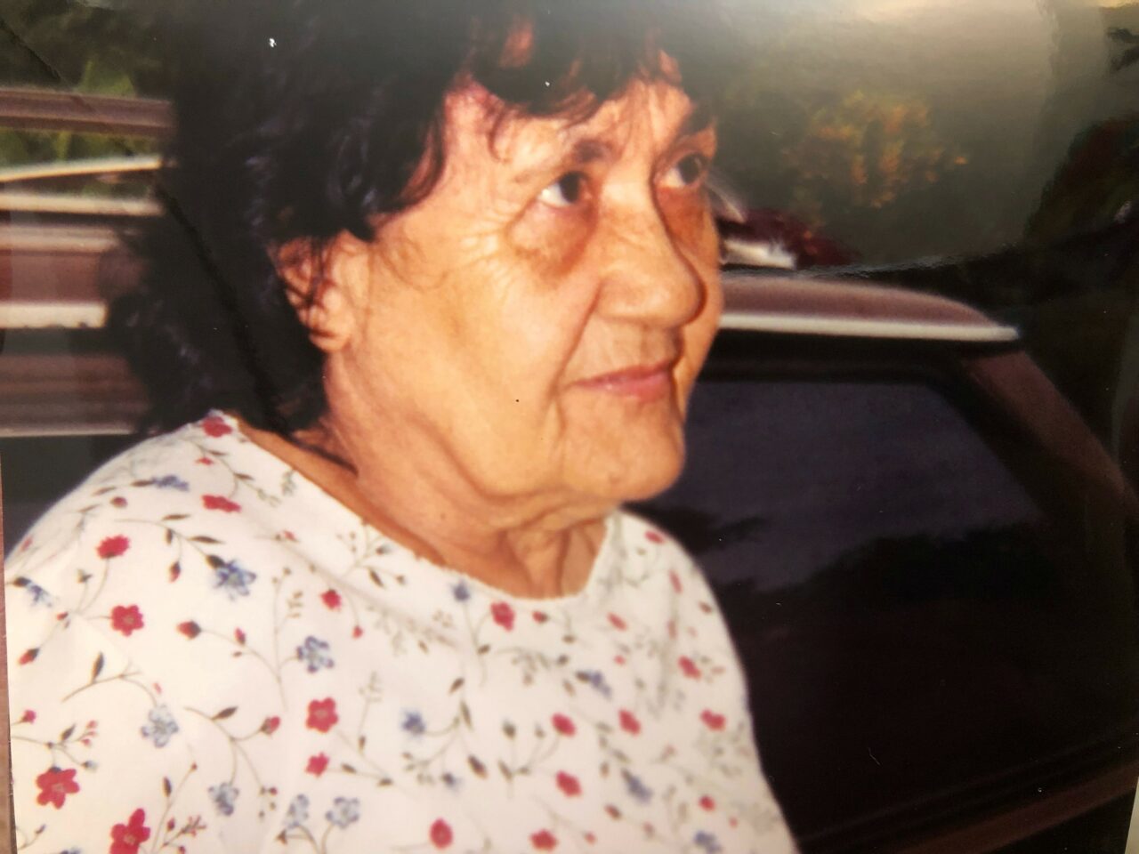 Delia Acevedo | Charles F. Snyder Funeral Home & Crematory