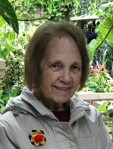 Sally Ann Hillegas Obituary | Lancaster, PA | Charles F. Snyder Funeral ...