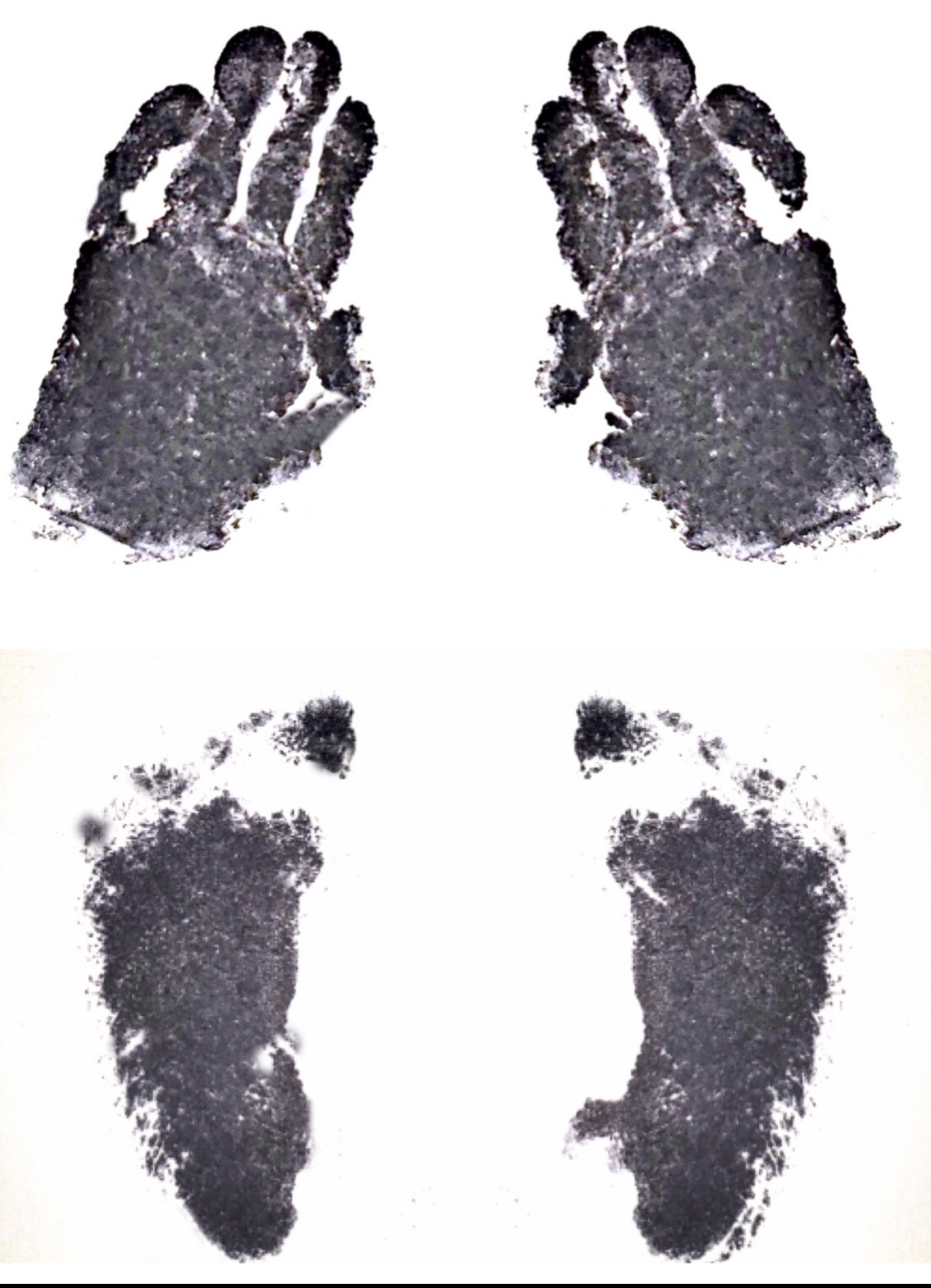 Carter Michael Hoffman Obituary | Lancaster, PA | Charles F. Snyder ...